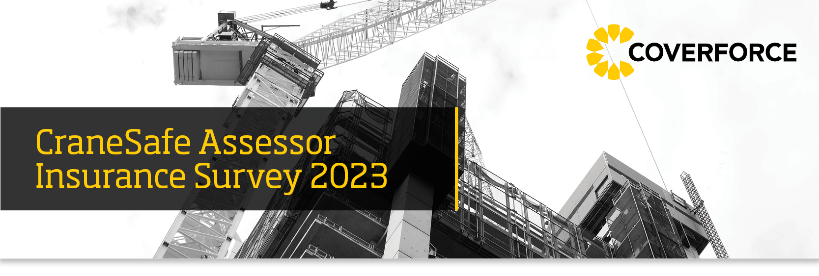 CraneSafe Assessor Insurance Survey